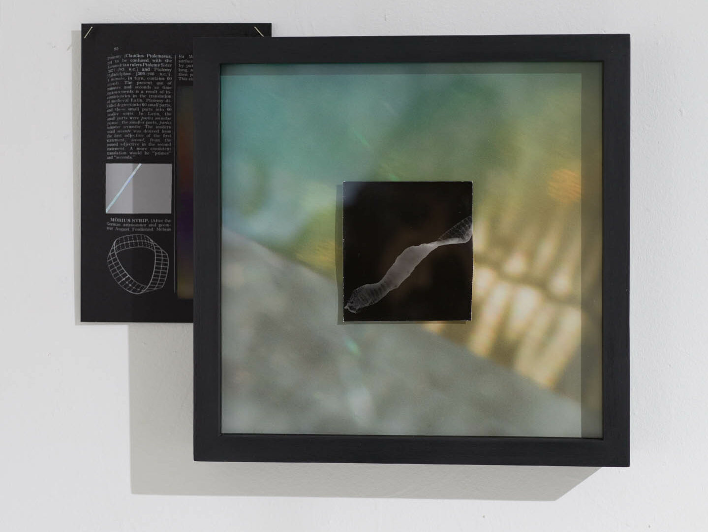 Projects :Sonja Thomsen